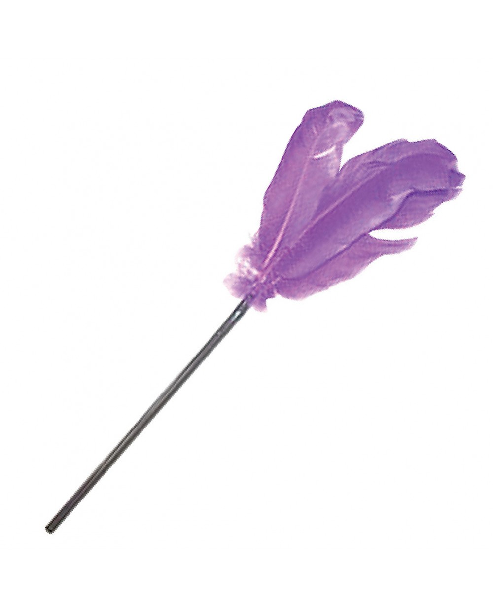 Purple Feather Tickler