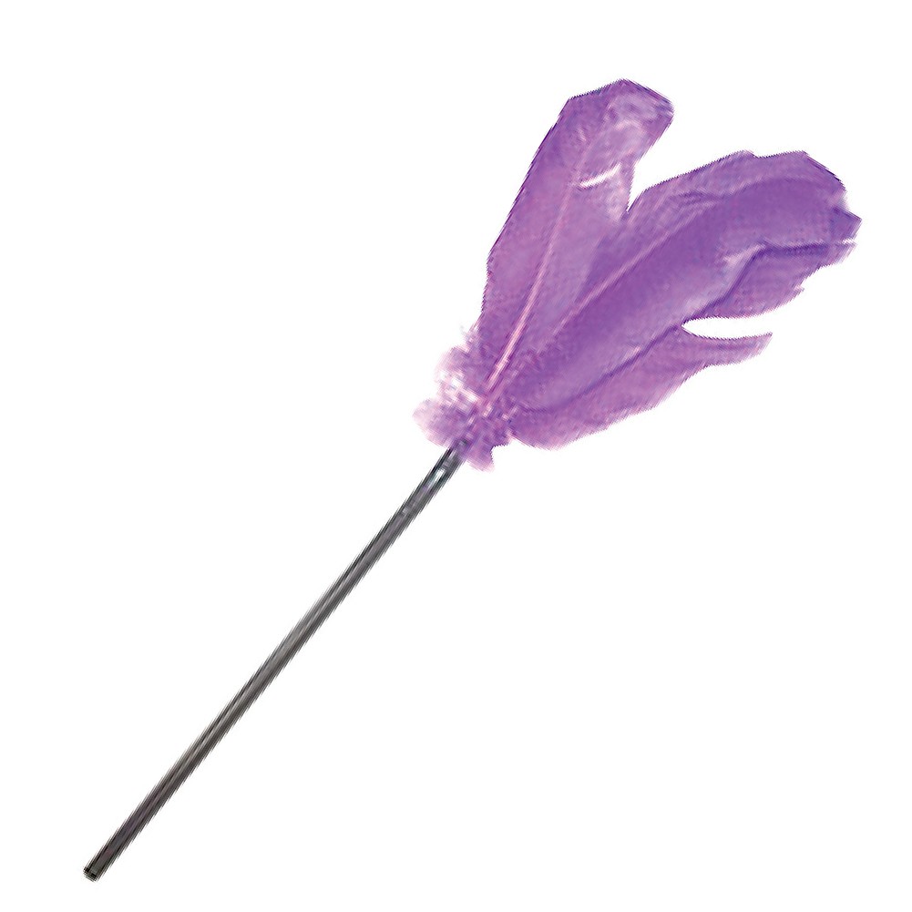 Purple Feather Tickler