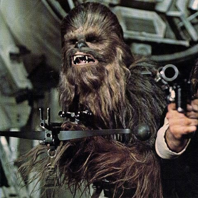 Chewbacca Star Wars Costume